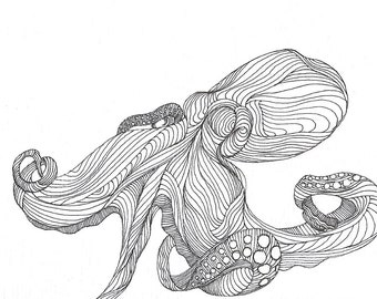Octopus Drawing A Suitable Cephalopod Fine Art by AnOctopusADay