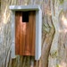 Birdhouse Modern Minimalist The Bird Box