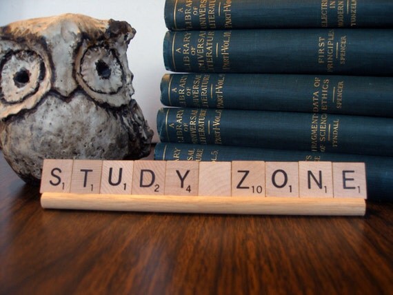 Study Zone Decor Sign Classroom Library by ahhastudio on Etsy