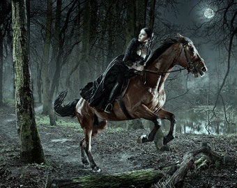 Popular items for damsel on Etsy