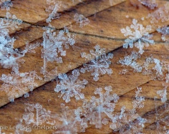 Tiny Snowflakes Winter's Beauty Ice Stars Montana