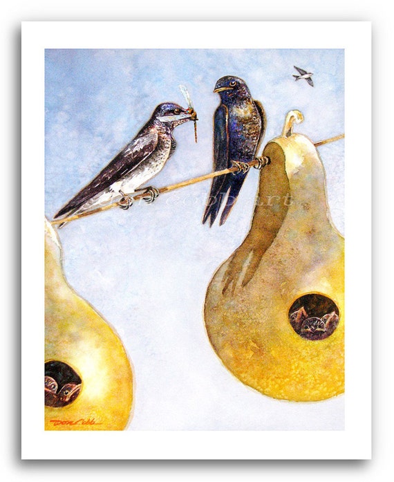 Purple Martin Bird Art Purple Martin Time Prints
