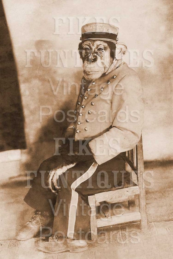 Items similar to Dapper Primate - Dressed Monkey - Vintage Photo ...