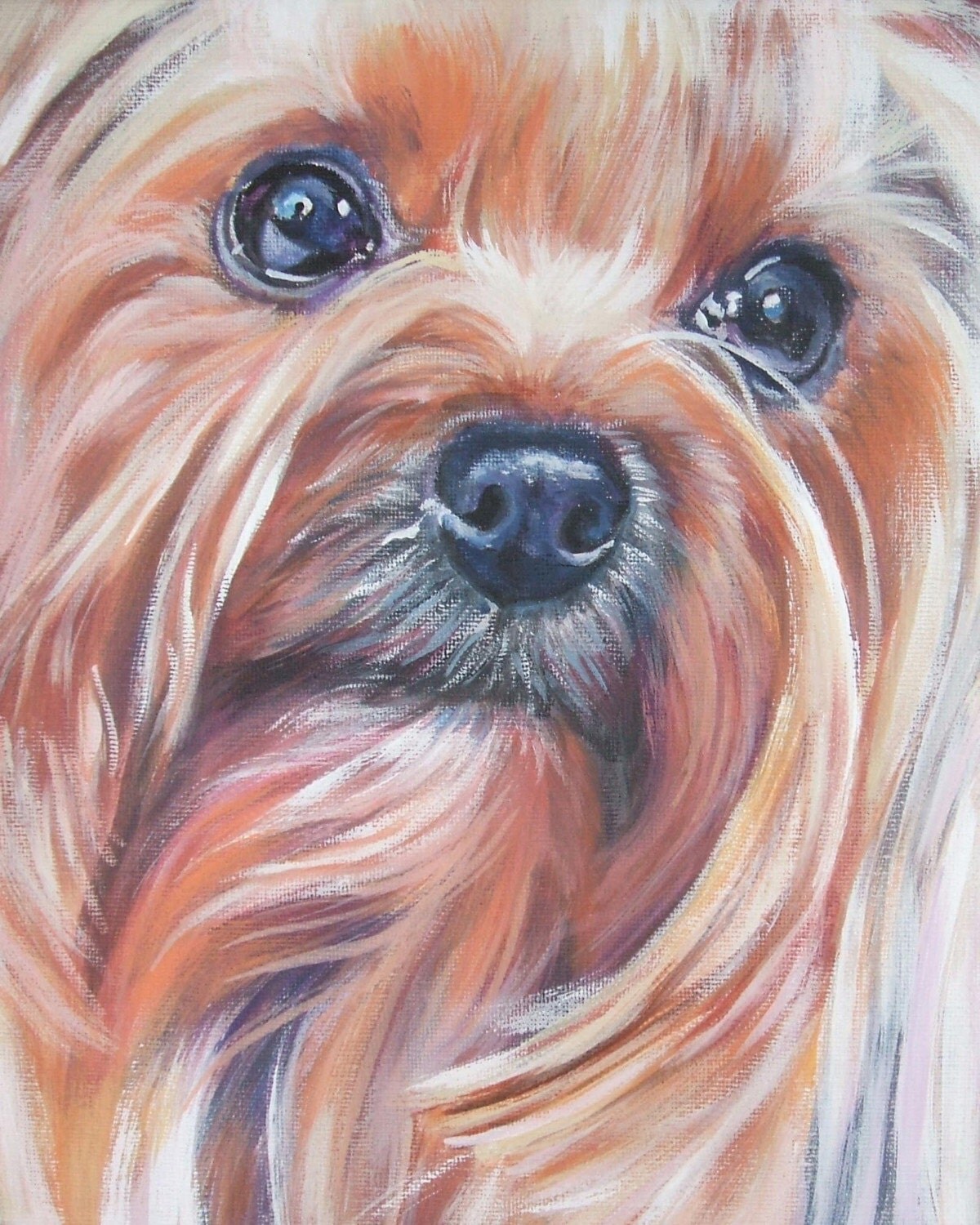 Yorkshire Terrier yorkie dog portrait CANVAS print of LA