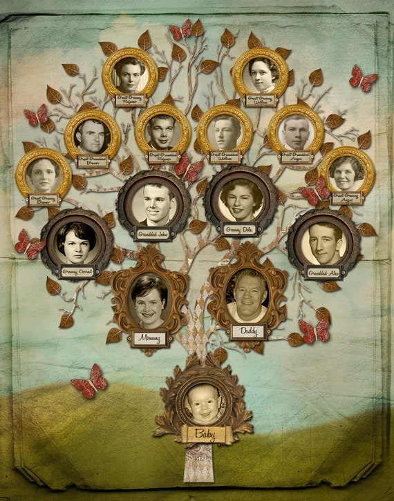 How To Create A Family Tree With Divis Transform Settings DIY Four