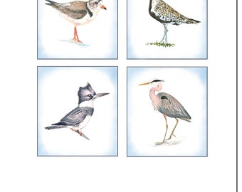 Shore birds | Etsy