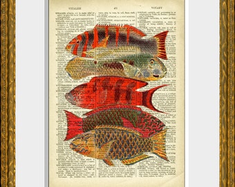 TROPICAL FISH COLLAGE dictionary page art print - upcycled antique ...