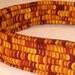 Beautiful Fall Indian Corn Collar by Swankypet