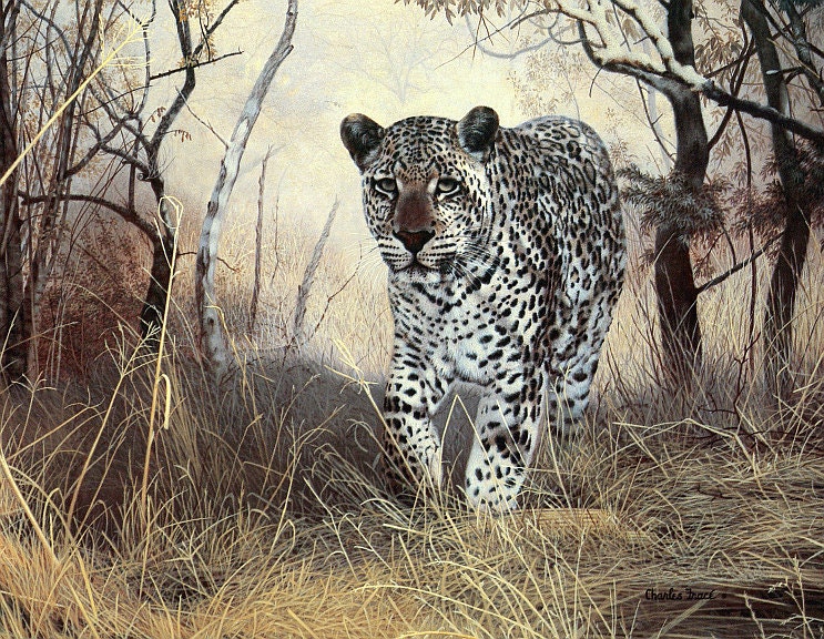 Lone Hunter Leopard Charles Frace Vintage by HeatherwoodArtPrints