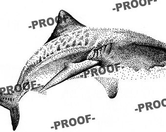 Stippling Shark Print 8x10