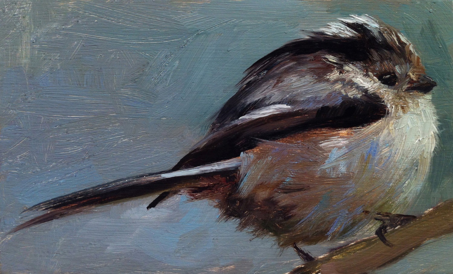 Longtailed Tit Bird Painting Open Edition Print of