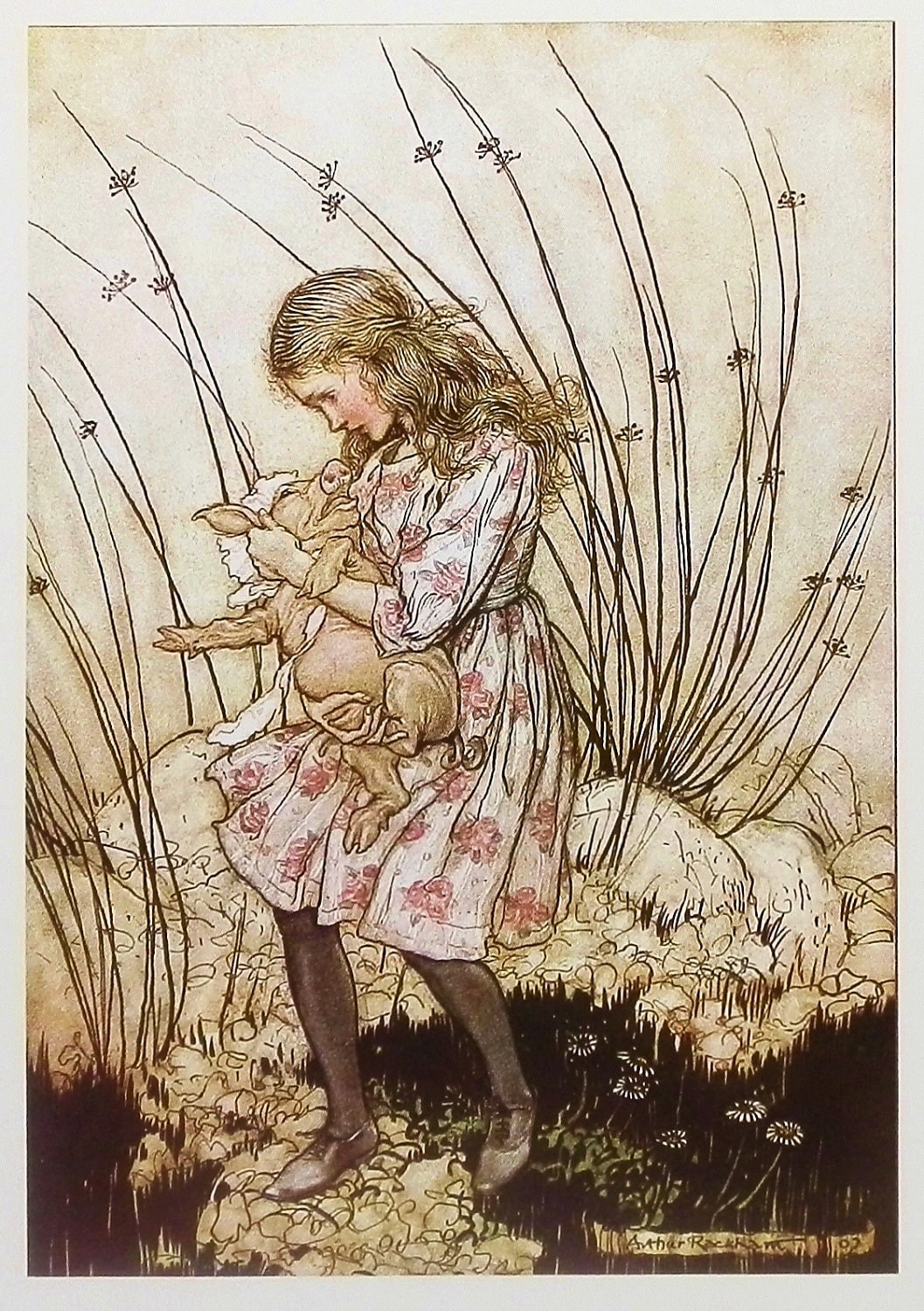 arthur rackham - Alice | Alice in wonderland illustrations, Arthur ...