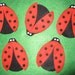 5 Ladybugs Felt Board Set with laminated rhyme by handfulofpuppets