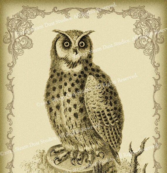 Victorian Goth Antique Owl and Scrollwork 4x6 Inch Single | Etsy