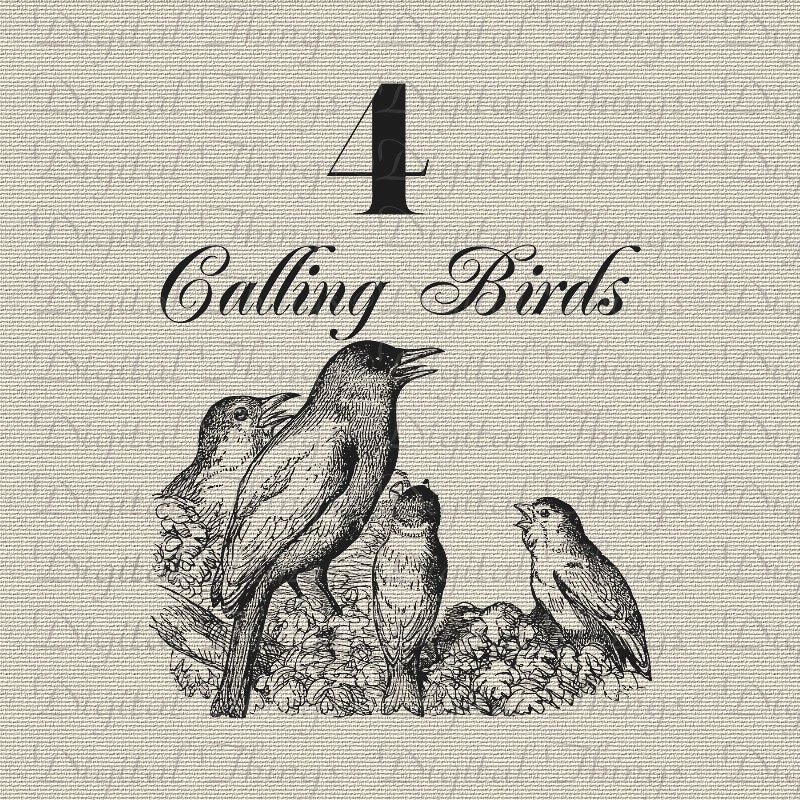12 Twelve Days of Christmas Four Calling Birds Printable