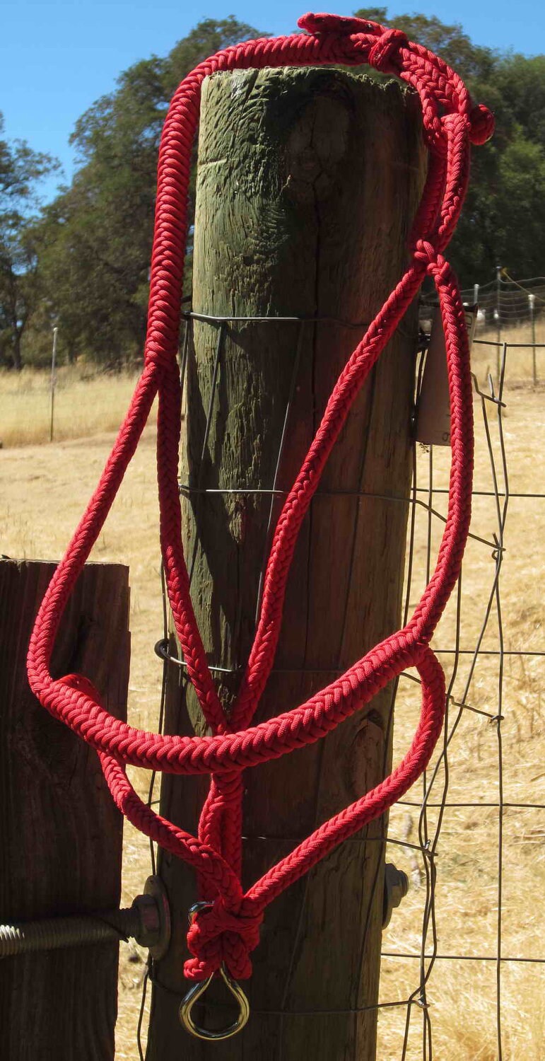 How to make a "cowboy" halter? | The Horse Forum