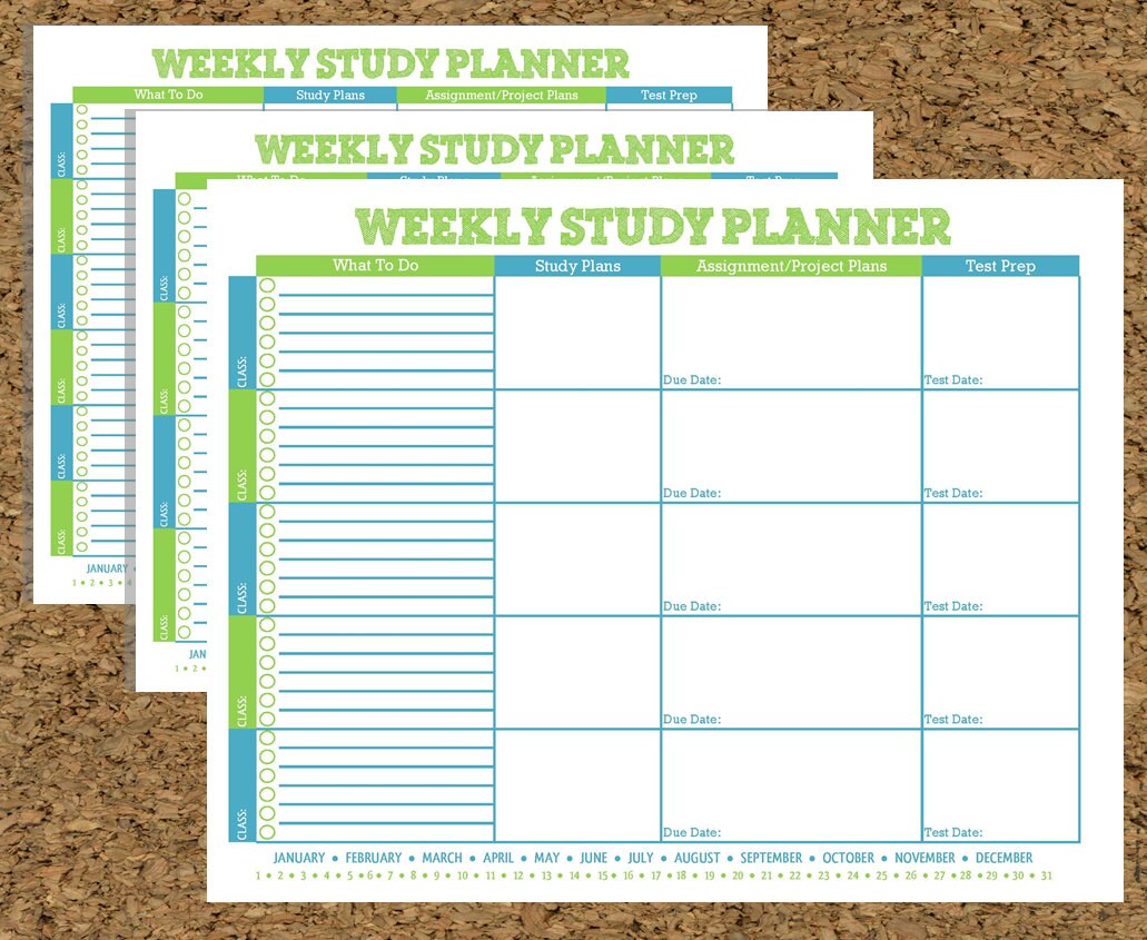 INSTANT DOWNLOAD Student Planner Secondary Study
