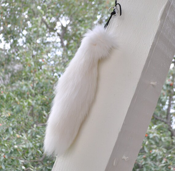 Beautiful Real Arctic Fox Tail