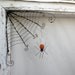 18 Barbed Wire Corner Spider Web With Orange by thedustyraven