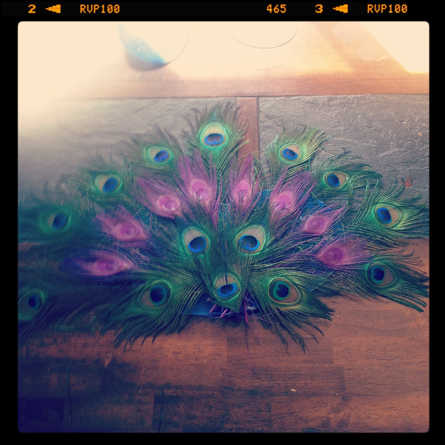 Adult Peacock Costume Peacock Tail Peacock Wings