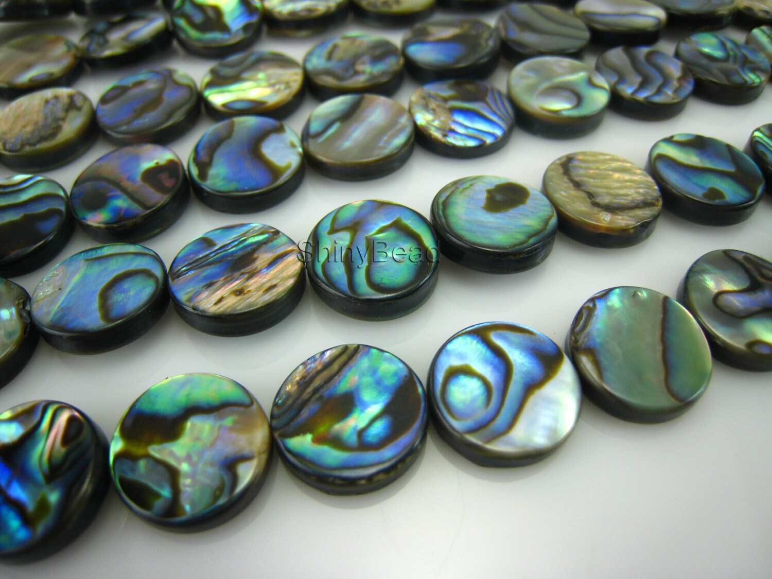 abalone shell flat coin bead 12mm 15 inch strand | ShinyBead--gemstone ...