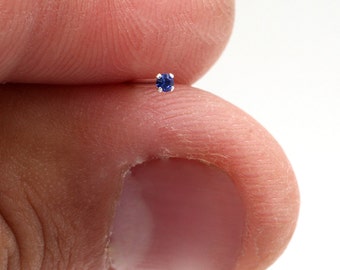 Sterling Silver nose ring Turtle design silver by Silversmith925