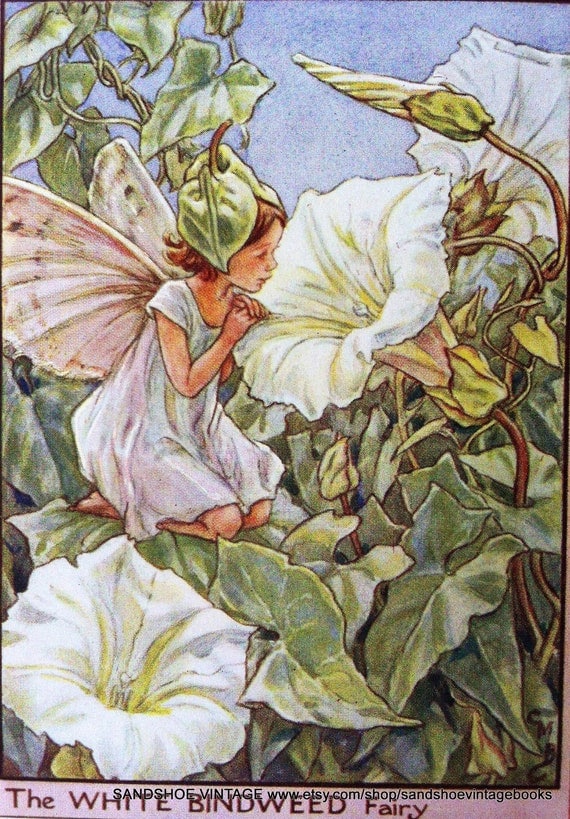 On Hold 1930s Fairy Cicely Mary Barker Print Ideal For Framing