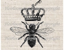 Unique bee transfers related items | Etsy