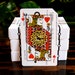 Metrodeck Playing Cards: Complete Deck