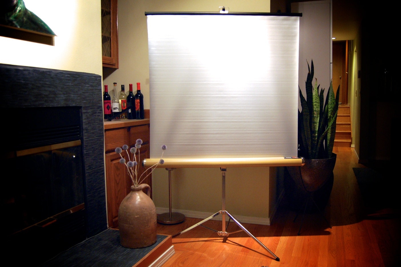 Knox Regent Lenticular Projector Screen