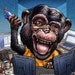 Code Monkey