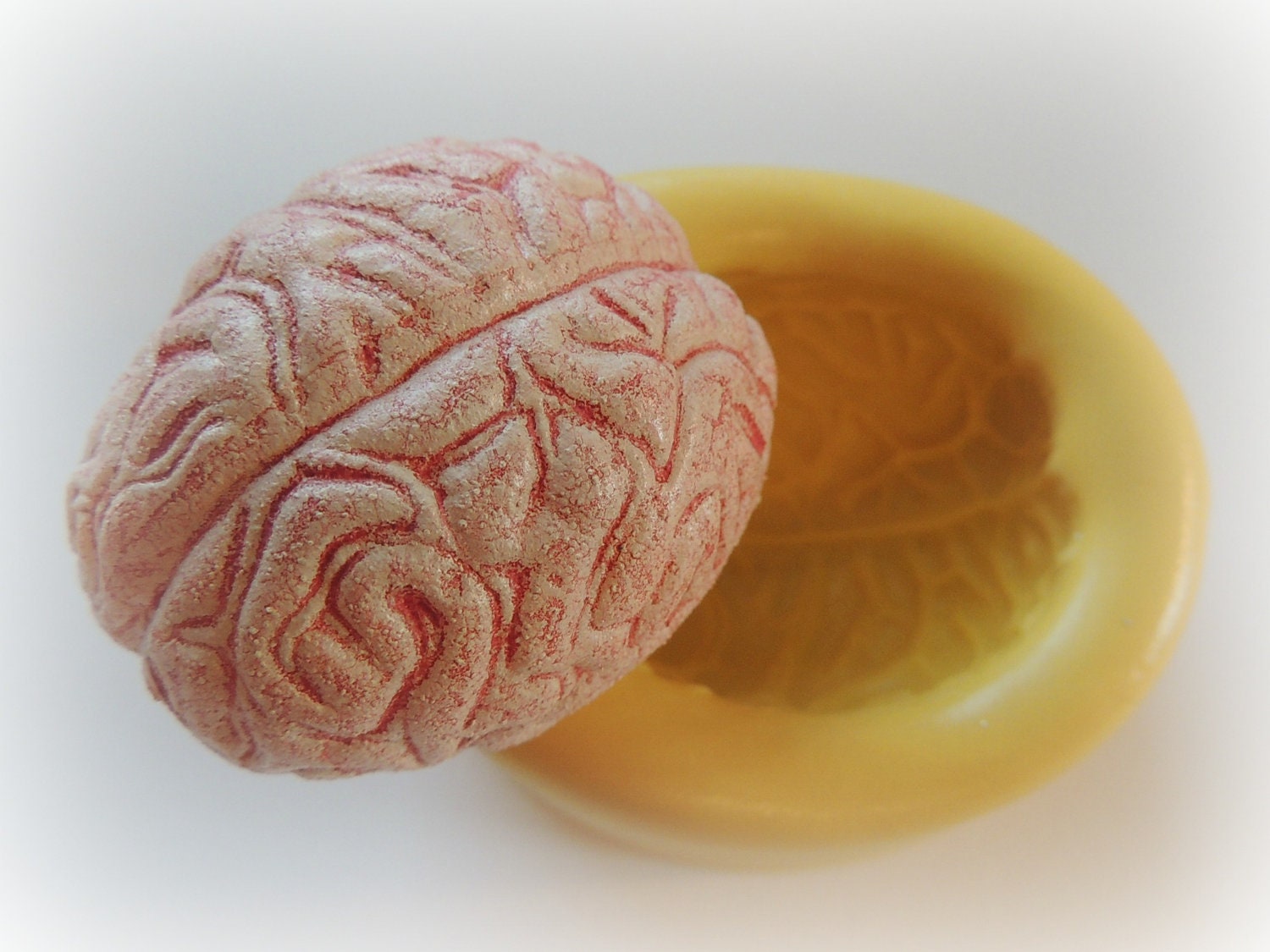Small Brain Mold Fondant Clay Resin Mould