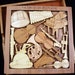 Orchestra Pit Wood Puzzle Brain Teaser