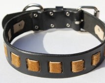 Unique concho dog collar related items | Etsy