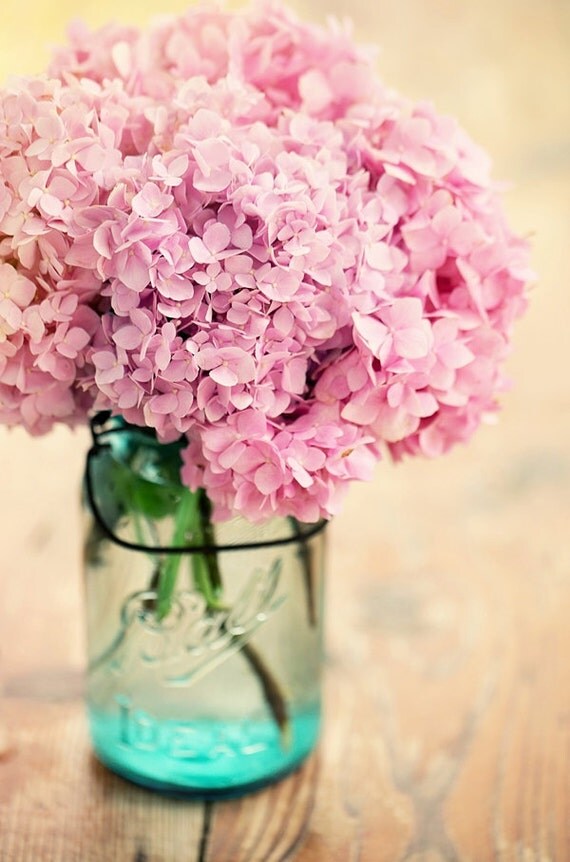 Items Similar To Pink Hydrangeas In Aqua Mason Jar On Etsy