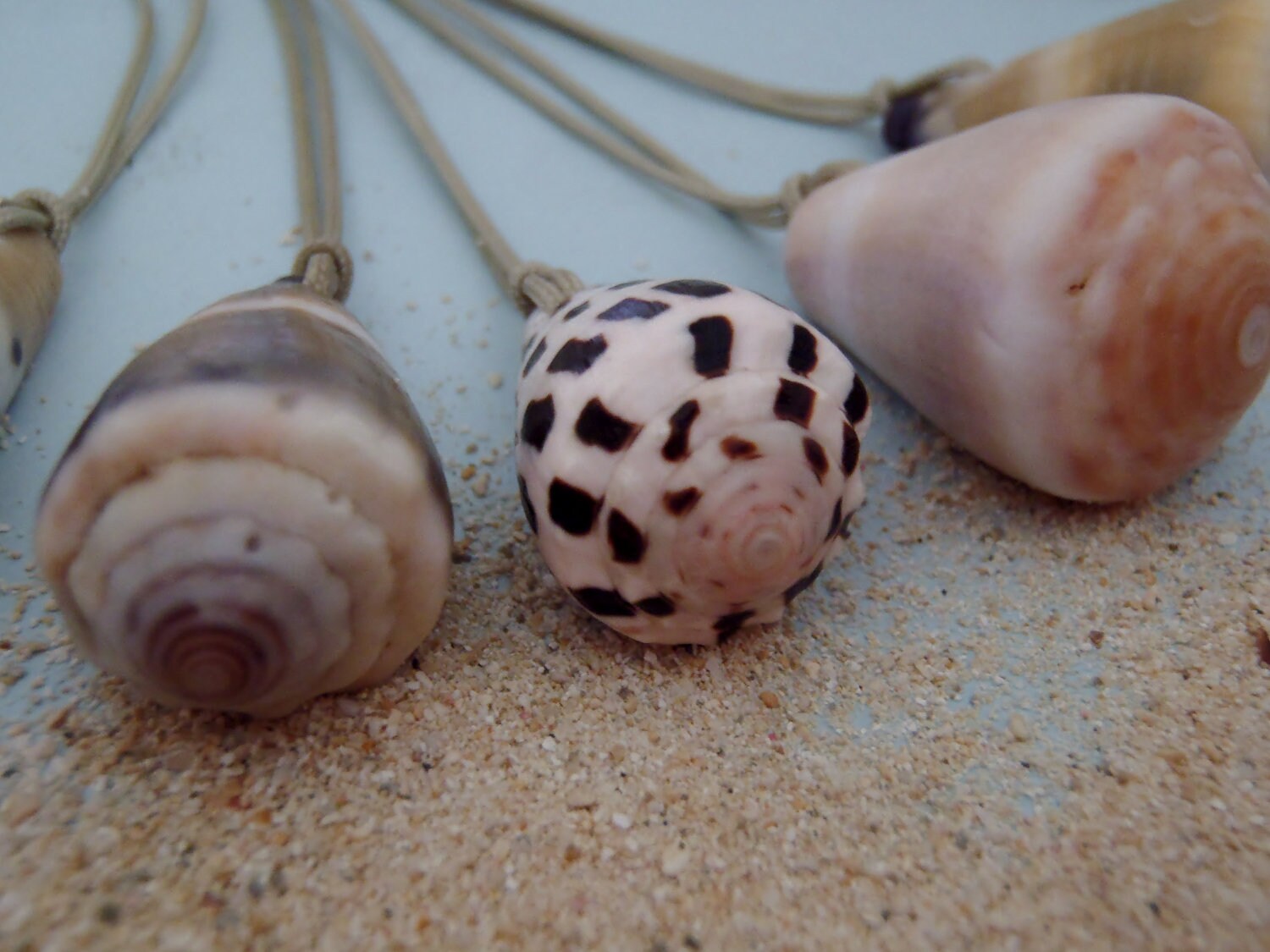 Long Hawaiian cone shell necklace Hawaii seashell jewelry