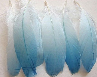 Light blue feathers | Etsy