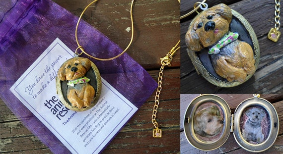 Items Similar To Made-to-order Custom Pet Locket On Etsy