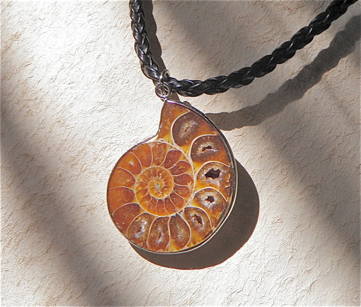 Ammonite Fossil Necklace By Frogmooncreative On Etsy