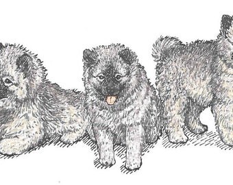 Keeshond art | Etsy