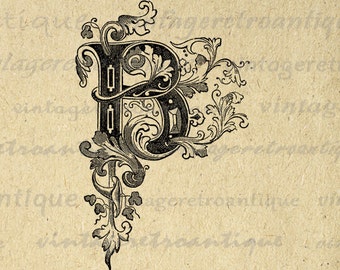 Chandeliers & Pendant Lights