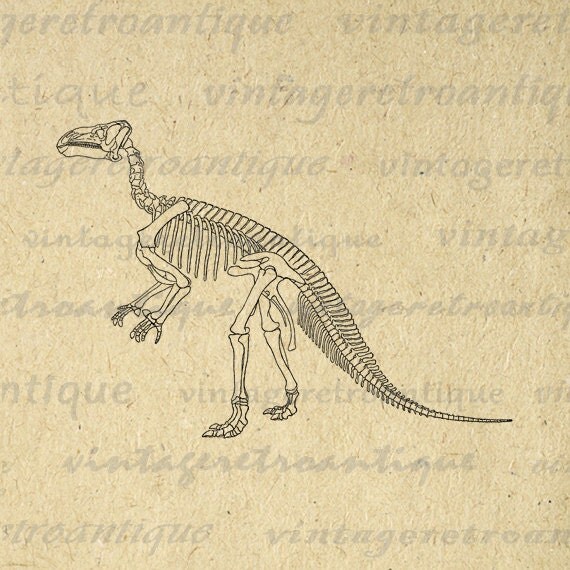 Digital Dinosaur Skeleton Image Printable by VintageRetroAntique