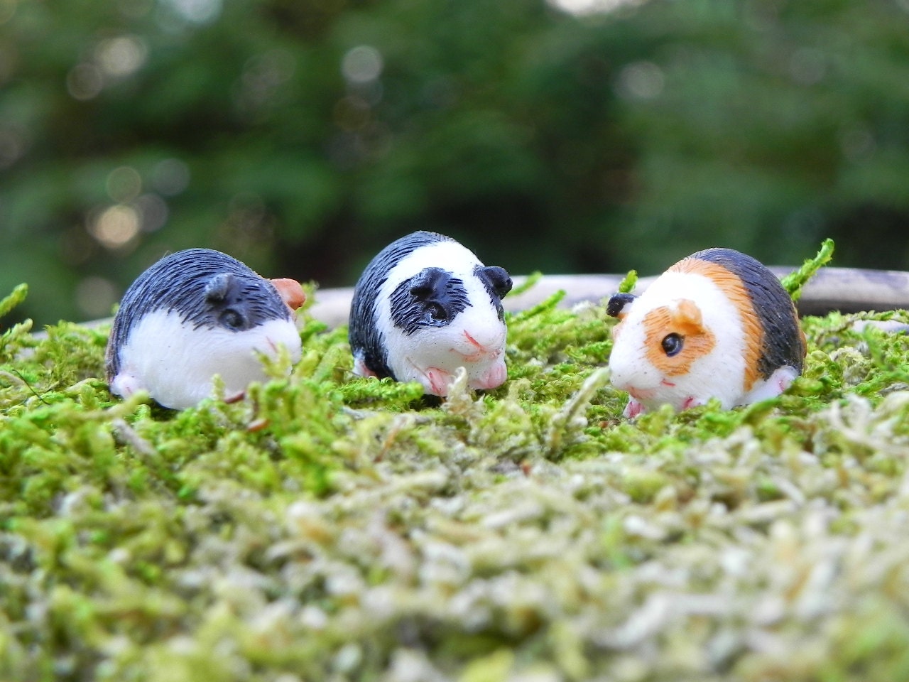 Miniature guinea pigs fairy garden accessories terrarium