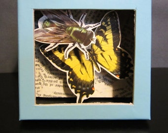 Insect diorama | Etsy