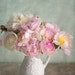 Peony Photography French Peonies Still Life Fine Art
