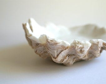 Edible Oyster Shells Chocolate in a Half by andiespecialtysweets