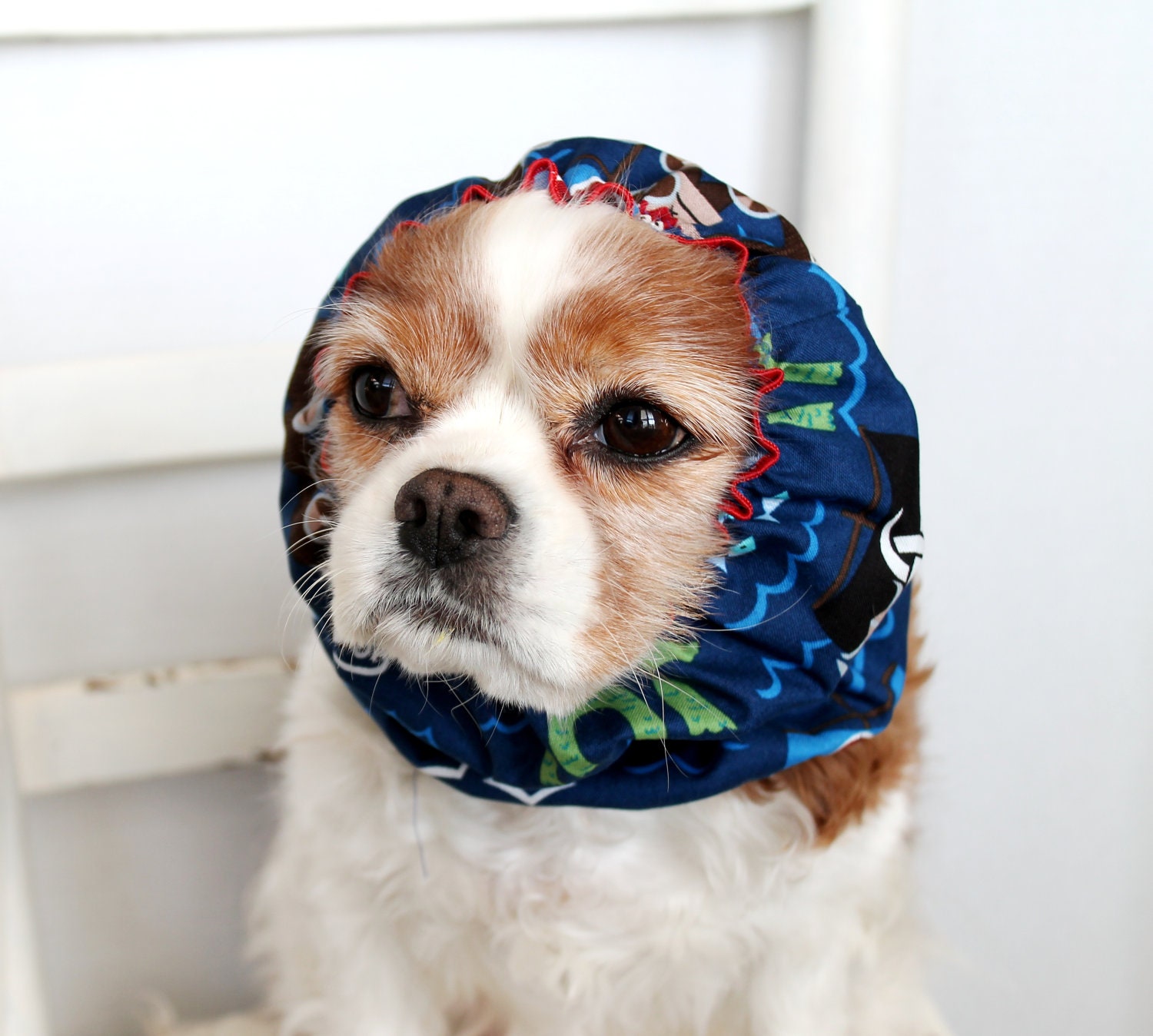 Viking Dog Snood / Cavalier King Charles or Cocker fabric ear