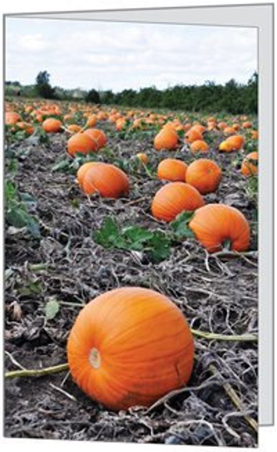 Items similar to Pumpkin Patch. Folded Photo Note Card on Etsy