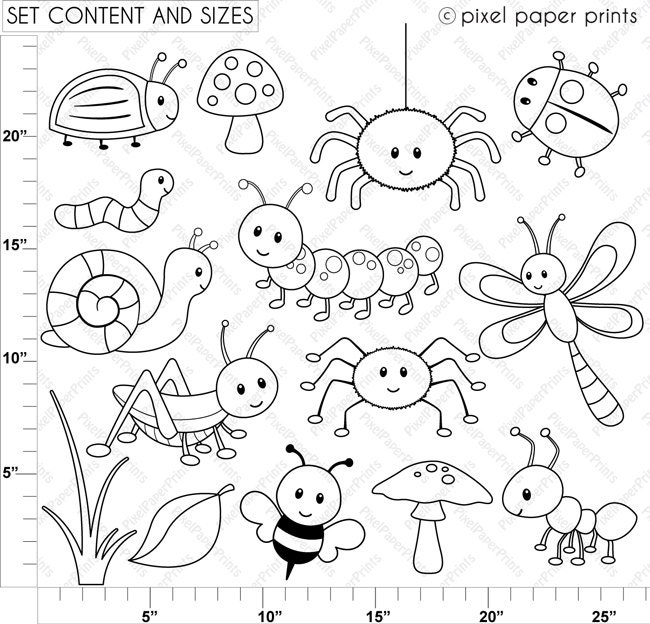 Stick Insect Clip Art Black And White Sketch Coloring Page