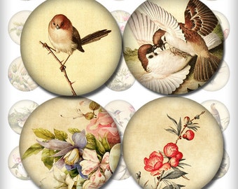 Popular items for vintage bird on Etsy
